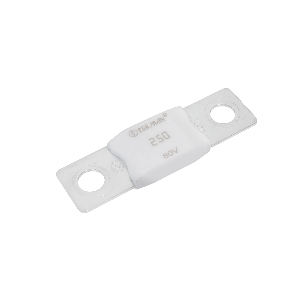 Alvolta AMG/Mega 250A Fuse | Shop Fuses Online